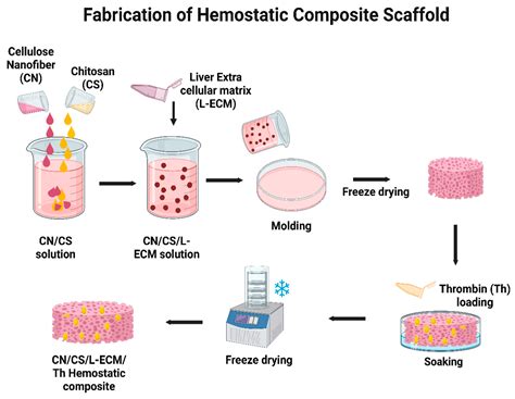 Decellularization Techniques For Tissue Engineering Towards