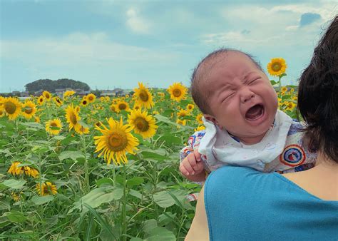 野田市観光協会 令和5年 野田の観光写真コンクール入賞作品