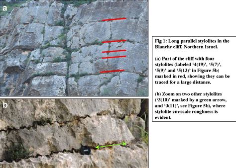 Table 1 From Sedimentary Stylolite Networks And Connectivity In