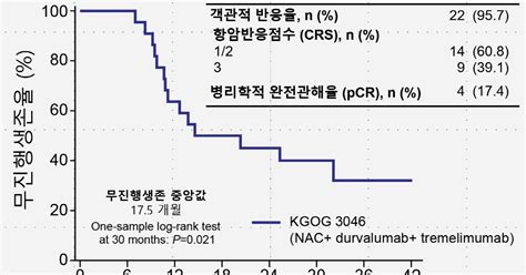 면역항암제 투여로 난소암 치료 효과 높여기존 대비 무진행 생존 15배 늘어
