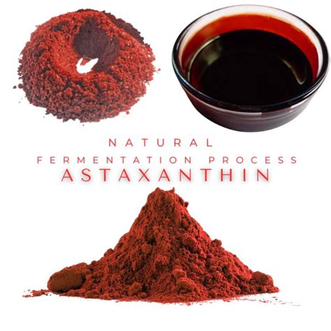 Natural Astaxanthin Powder Fermentation Process Produces