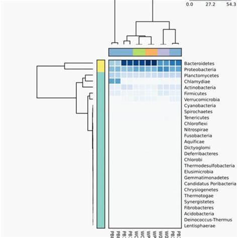 Heatmap Displaying The Normalized Clustered Euclidean Distances Of The