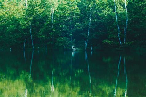 写真と旅する長野県乗鞍高原の夏フォトグラファーtsunekawa TABIPPO NET