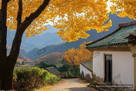 Ai创作图秋色农家 村口秋景 古村秋色 村口小树秋色 门前秋色 金秋小山村 金秋塔川 山村银杏 银杏村 古门秋色 村内银杏 农家秋色 古村秋景