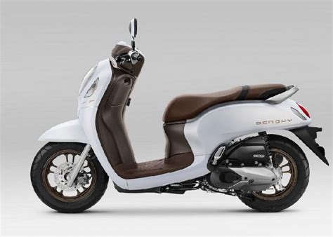 Inilah Rekomendasi Scoopy Modif Yang Bisa Menjadi Referensi Dan Super