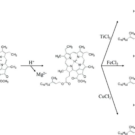Pheophorbide Synthesis Route Download Scientific Diagram