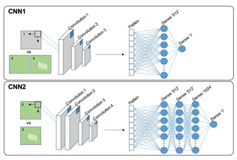 Structure Of The Two Cnns Each Convolution Layer Consists Of Download Scientific Diagram