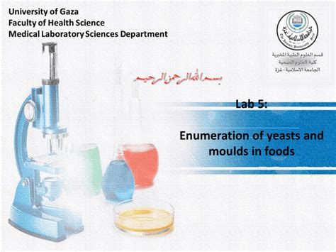 Lab 6 Enumeration Of Yeasts And Moulds In