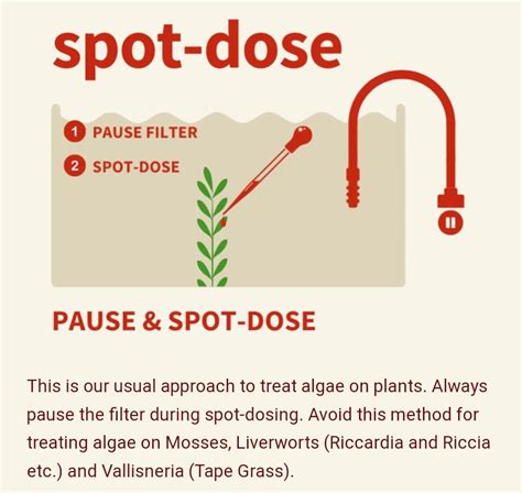 Algae Problem R Plantedtank