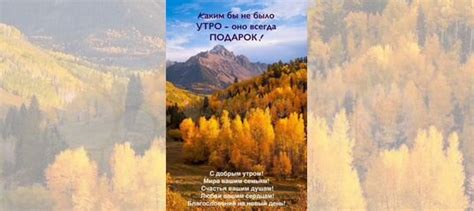 Саженцы черной смородины купить в Москве | Товары для дома и дачи | Авито