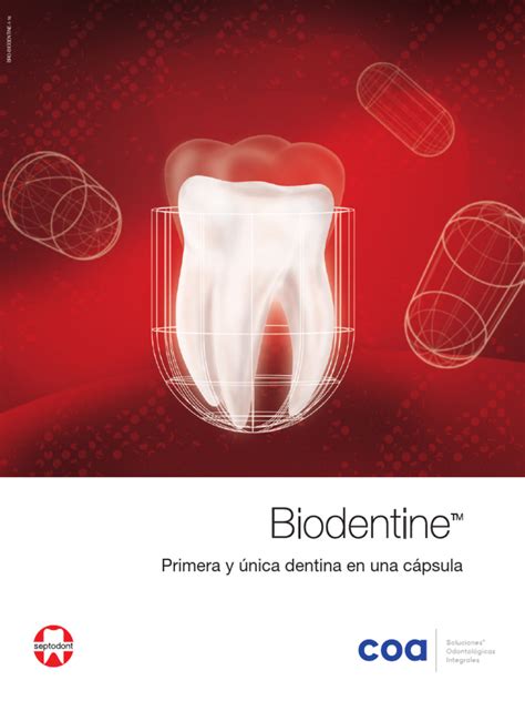 Biodentine Pdf
