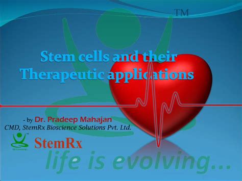 Ppt What Is Stem Cells Stem Cell Applications Dokumen Tips