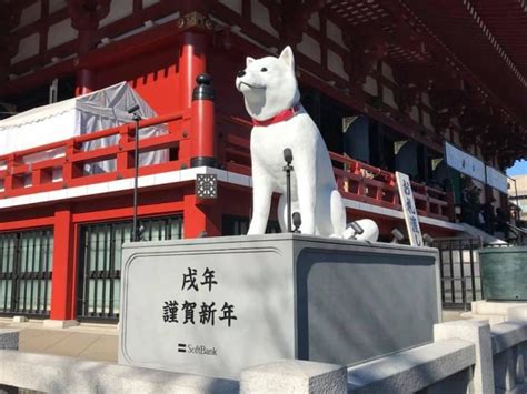 六種日本犬介紹：柴犬秋田犬北海道犬紀州犬甲斐犬四國犬 Matcha 日本線上旅遊觀光雜誌