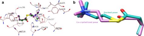 Three Dimensional 3d Conformational Differences Of Co Crystallized