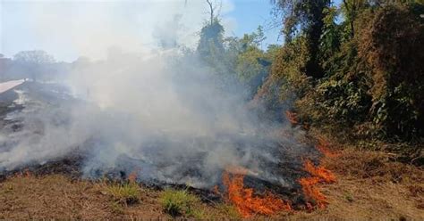 Jujuy Durante La última Semana Se Perdieron 100 Hectáreas Por
