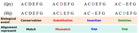 Scoring Schemes Seqan Main Documentation