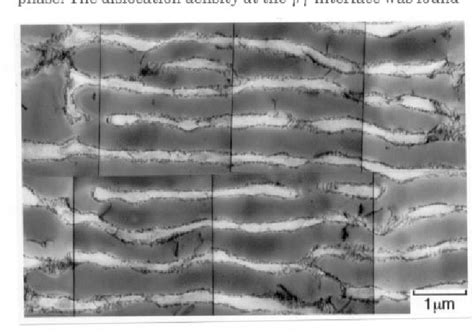 Figure 5 From The Influence Of Dislocation Substructure On Creep Rate