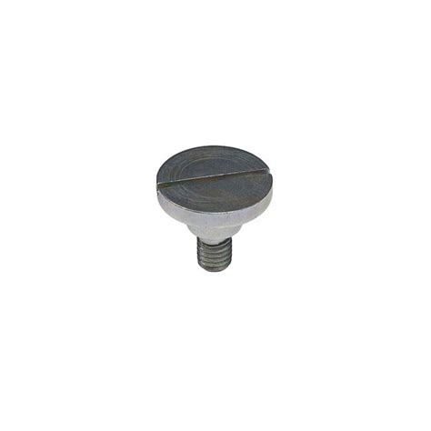 Rail Hinge Screw