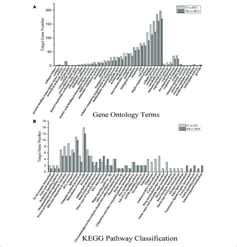 Gene Ontology Go Annotation And Kyoto Encyclopedia Of Genes And