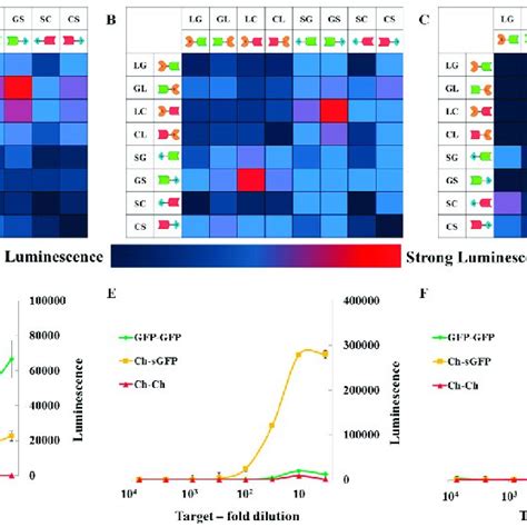 Schematic Representations Of Protein Complementation Assays A A Download Scientific Diagram