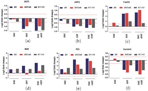 Epigenetic Treatments Alter Gene Expression In Urothelial Bladder