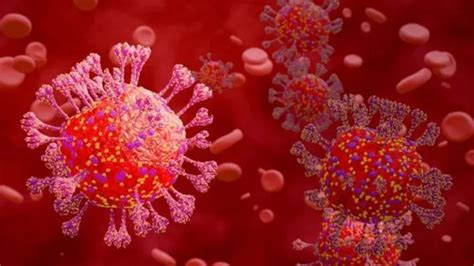 Herpes Ternyata Ada 8 Jenis Virus Yang Bisa Bikin Kamu Terinfeksi Lho