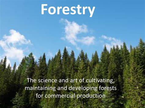 Ppt Forestry Powerpoint Presentation Free Download Id1626193