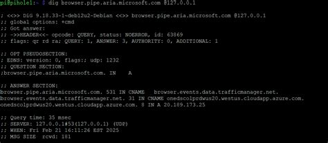 Pi Hole V6 Blocking An Entry With A Regex Allow Community Help Pi