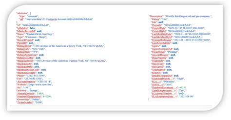 Getting Record Details From Salesforce Using The Rest Api