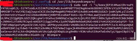 Ubuntu 安装 Beyond Compare 安装 卸载 破解 永久使用beyond Compare Ubuntu Csdn博客