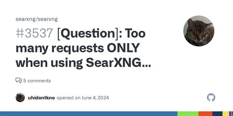 Question Too Many Requests Only When Using Searxng Programmically