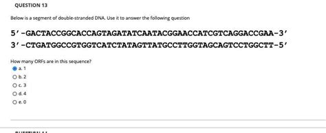 solved question 13 below is a segment of double stranded