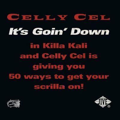Celly Cel It S Goin Down WEB Single 1996 320 Kbps