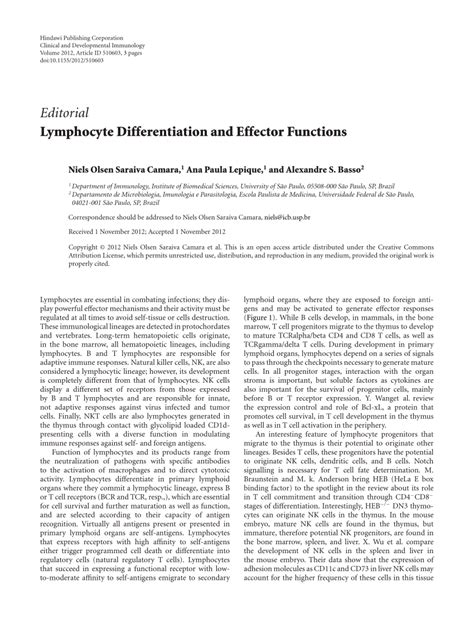 Pdf Lymphocyte Differentiation And Effector Functions