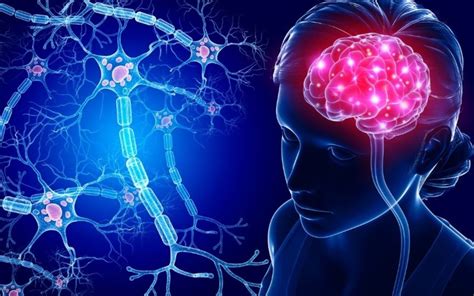 Estudio Basado En Inteligencia Artificial Indica El Sexo Afecta Al