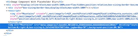 Blur Placeholder Stay Visible With JavaScript Disabled