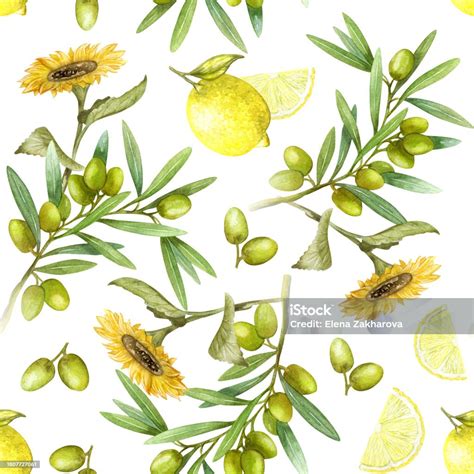 원활한 패턴 끝없는 손 그리기 올리브 가지 검은 열매 나무의 육즙이 많은 과일 해바라기 직물 키친 타월 및 식탁보 포장 포장지 문구류를 위한 디자인 지류에 대한 스톡 벡터