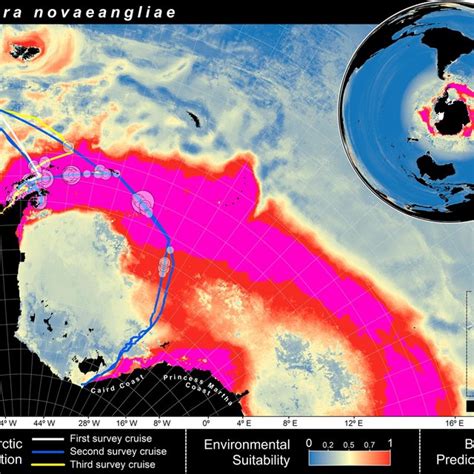 Spatial Distribution Of Humpback Whale Environmental Suitability Lower Download Scientific