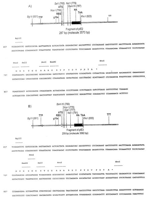 Selection Eureka Patsnap