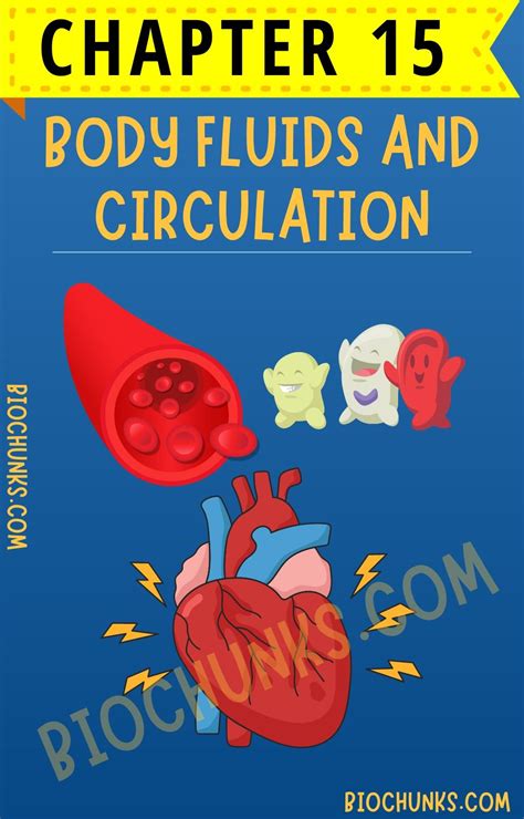 Body Fluids And Circulation Biology Notes Cbse Ncert