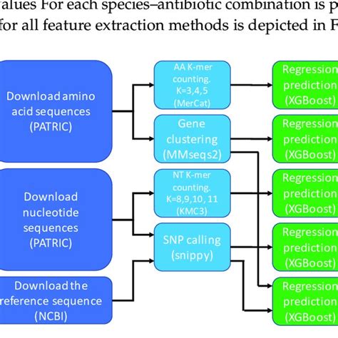 Overall Pipeline For All Feature Extraction Methods Download