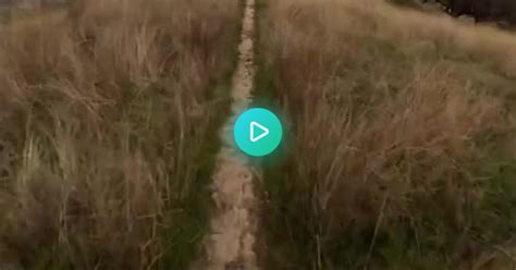Bruv Album On Imgur
