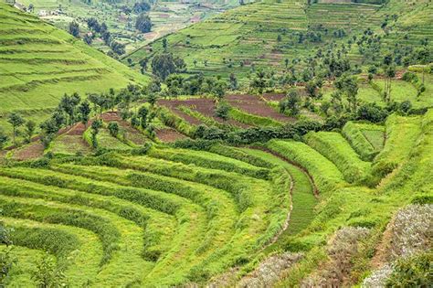 Sustainability Sec Mines