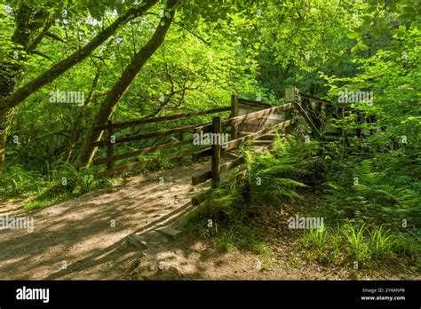 Hinds Pit Bridge Over The River Barle At Westwater Copse Exmoor