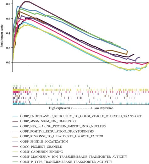 The Functional Analysis Based On Lncrnas Which Are Oxidative Download Scientific Diagram
