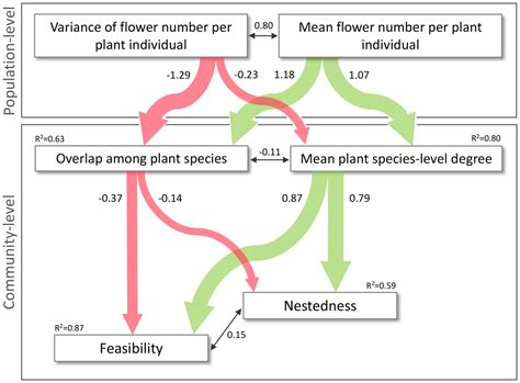 Intraspecific Variation In Species Interactions Promotes The Feasibility Of Mutualistic