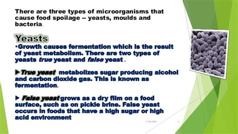 Microbial Agents Involve In Food Contamination And Food Spoilage