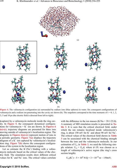 Molecular Dynamics Simulations Of Valinomycin Interactions With Potassium And Sodium Ions In
