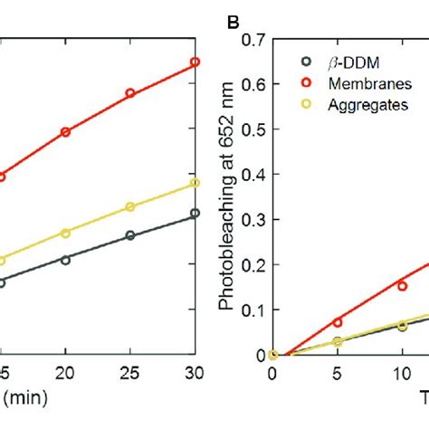 Time Course Of Lhcii Photobleaching In Detergent β Ddm