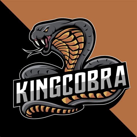 Redraw Or Vector Trace Convert To Vector By Baseetahmed Fiverr